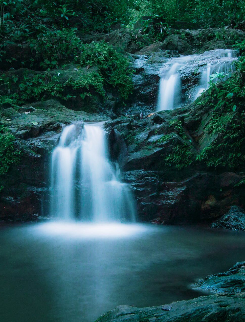 Rainforest skin treatment - pure heaven - Montreal Times